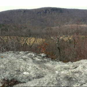 Braemore Preserve - Guilford CT Tourism